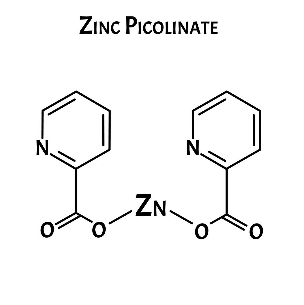 Zinc Picolinate , immune function & cardiovascular health 100% RDA 120 ...