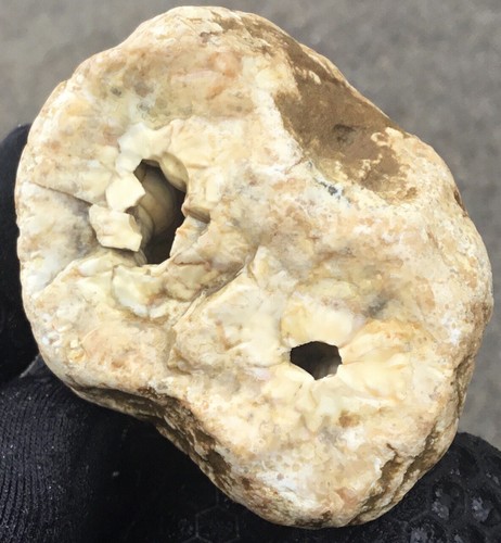 2”+ Uncut Agate Geode Chalcedony Rough Botryoidal Kentucky Lapidary ...