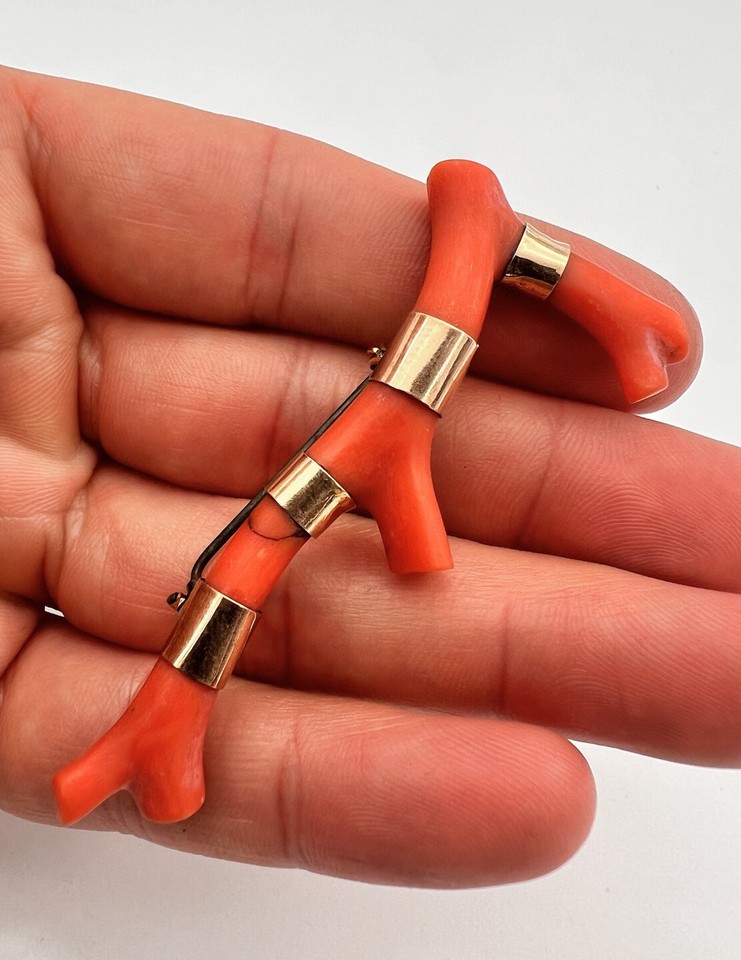 Antique Victorian 14K Yellow Gold Salmon Coral Branch Brooch Pin 2.75 ...