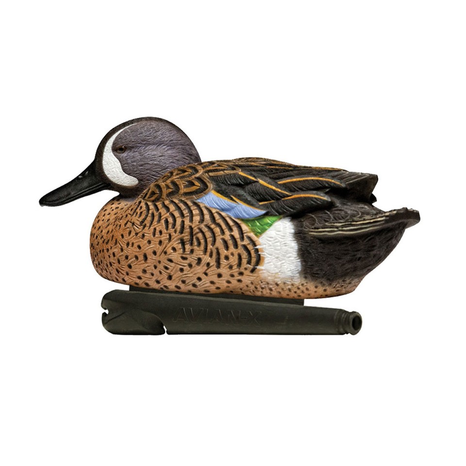 Avian X Blue Winged Teal Decoys Bundled with Floating Green-Winged Teal ...