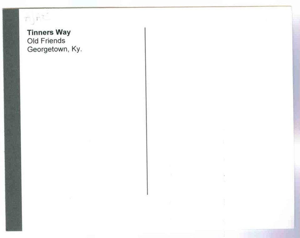 TINNERS WAY,LAST COLT OF SECRETARIAT, MILLIONAIRE RACEHORSE POSTCARD | eBay