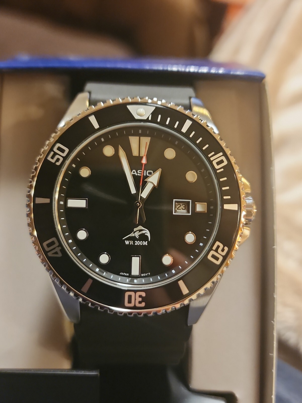 Casio Men's Diver Inspired Stainless Steel Quartz Watch with Resin ...