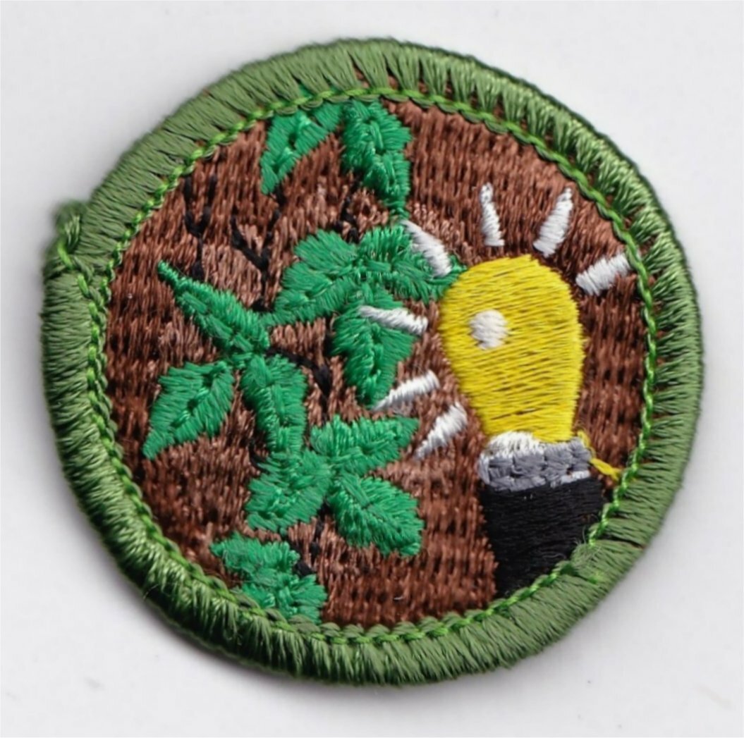 Bsa Wilderness Survival Merit Badge