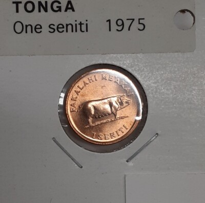 1975 Tonga 1 Seniti Bronze Coin (FAO) Corn Cob/Sow BU | eBay