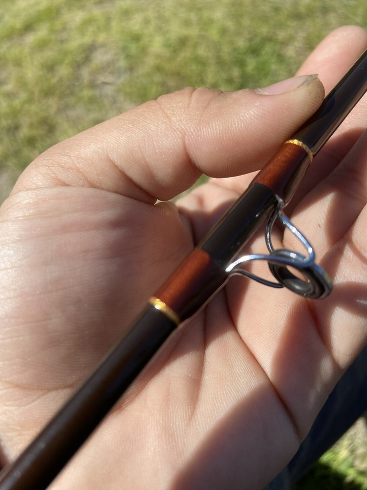 Sage Graphite 580 Fly Rod | eBay