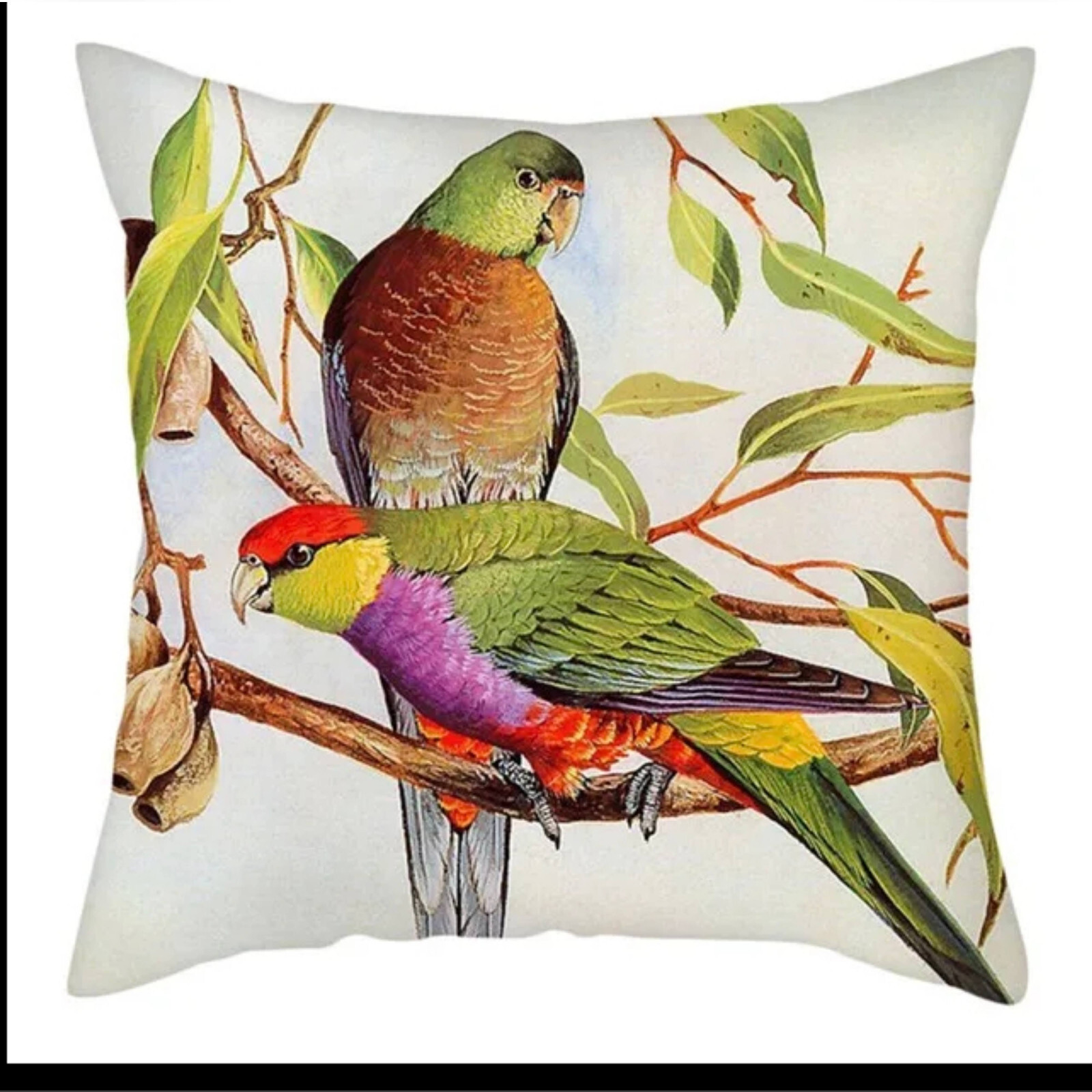 Birds Australian cushion covers NEW 45cm x 45cm Parrot galah Blue wren ...