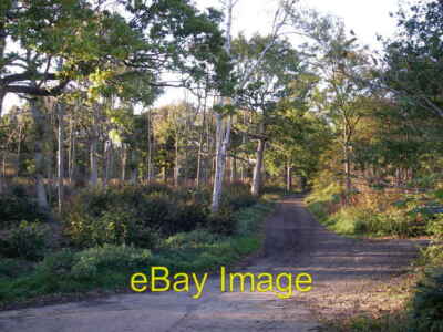 Photo 6x4 Ancient trackway between Grange and Lilly woods Burton Green ...