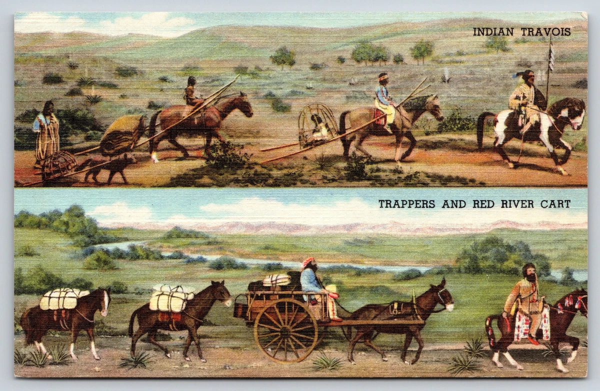 Navajo Travois