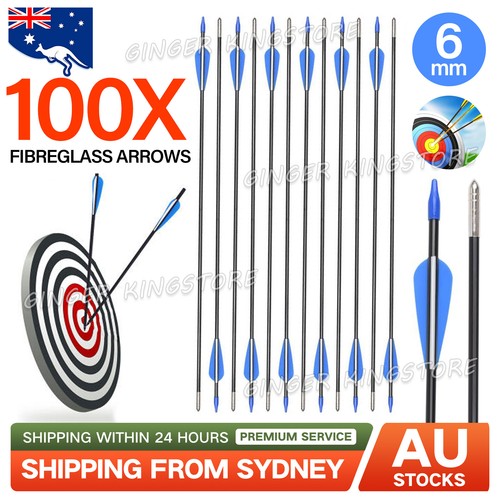 100X 31" HEAVY DUTY FIBERGLASS/ALUMINUM ARROWS FOR Archery Hunting ...