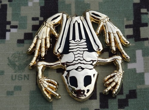 Golden Bone Frog / Navy SEAL Team Challenge Coin /NSW/SWCC/CPO | eBay