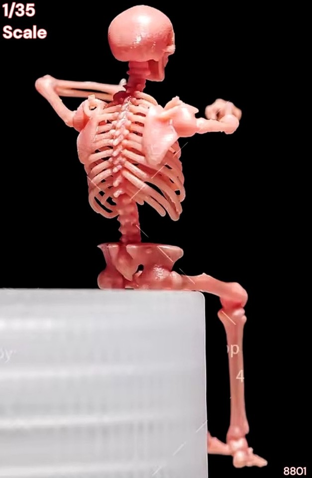 1/35 Resin Figure Complete Skeleton Sitting & Driving Vehicle Model Kit ...