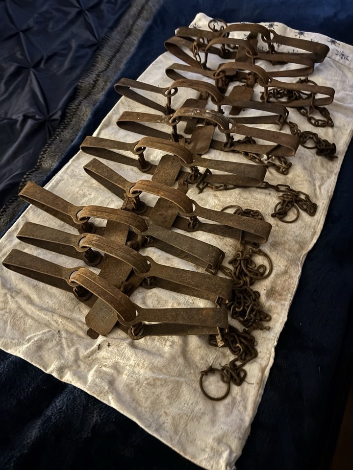 11 Northwood Number 2 Double Long Spring Leg Hold Trap | eBay