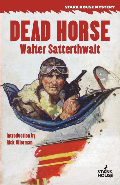 Dead Horse von Walter Satterthwait (2020, Taschenbuch) online kaufen | eBay