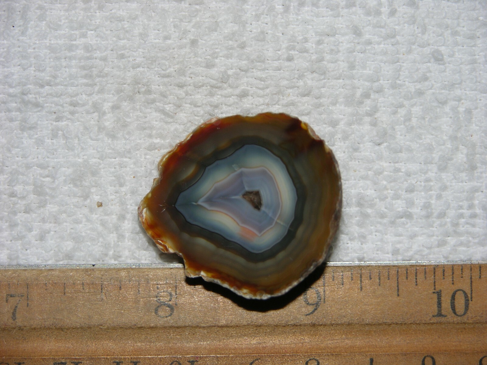 Laguna agate geode cut and polished Mexico 1 x 1 1/2 inch G226 | eBay