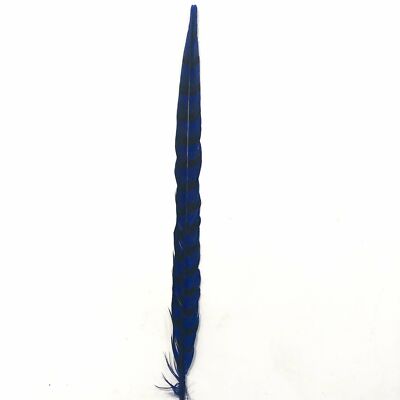 30" to 32" Reeves Pheasant Tail Feather - Royal Blue ((SECONDS)) | eBay ...