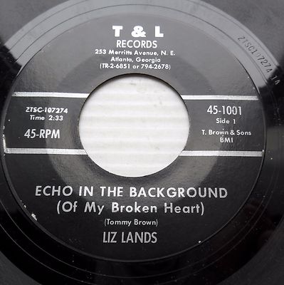 LIZ LANDS soul orig. T&L 45 ECHO IN THE BACKGROUND b/w QUALIFY FOR MY ...