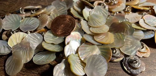 6 Beautiful Iridescent Clam Shaped Abalone Shell Shank Buttons 15mm 5/8 ...