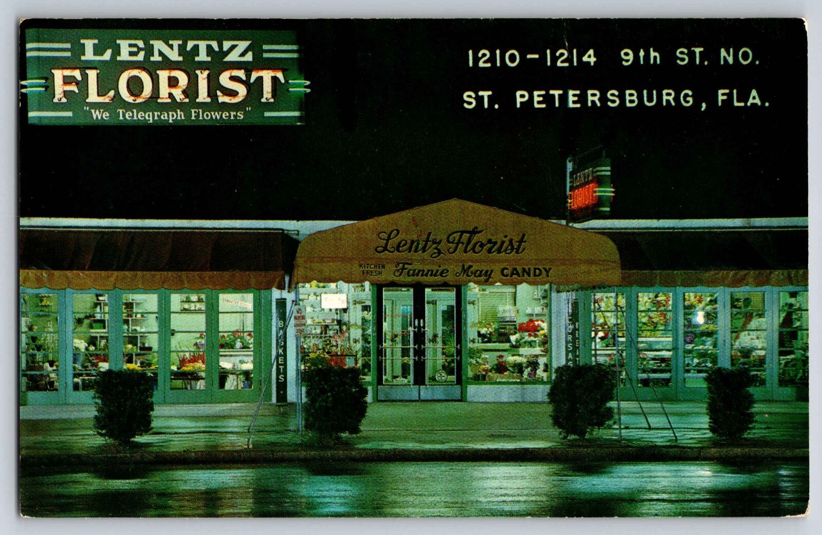 Postcard Lentz Florist we telegraph flowers St. Petersburg Florida D-13 ...