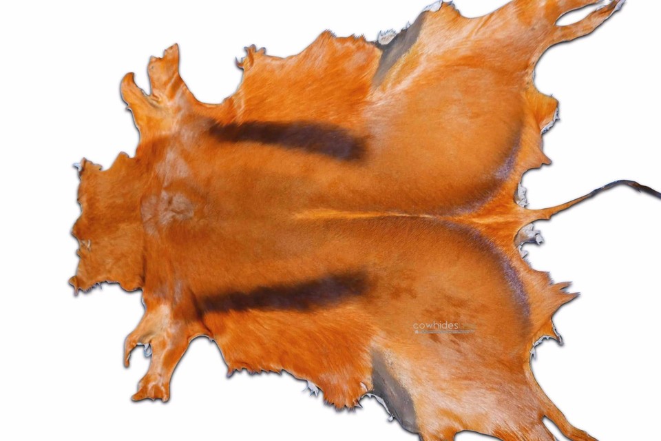 Dyed African Deer Skin Assorted dyed colors African springbok antelope ...