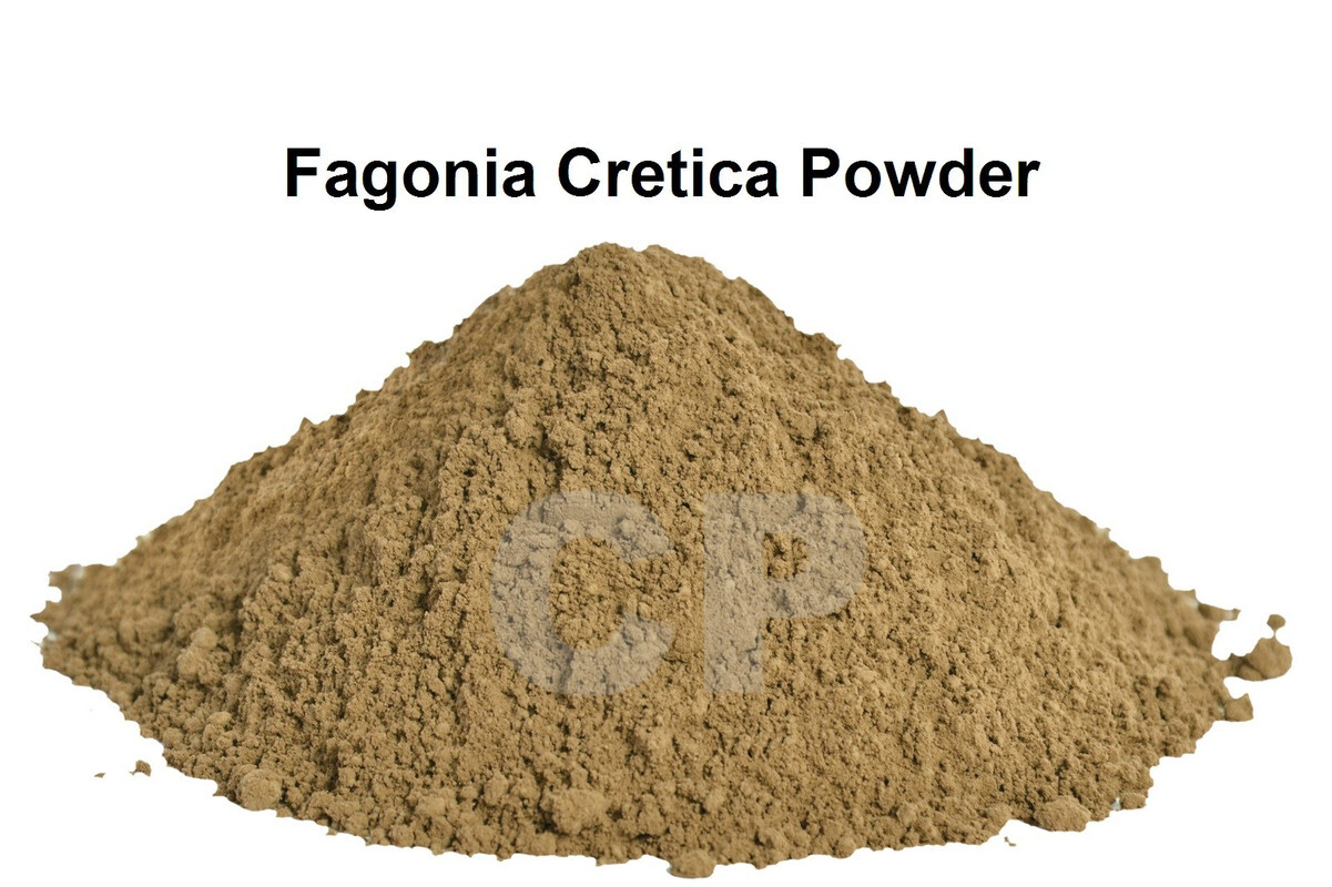 Fagonia Cretica Powder Dhamasa Powder 500gm (17.63 OZ)' | eBay