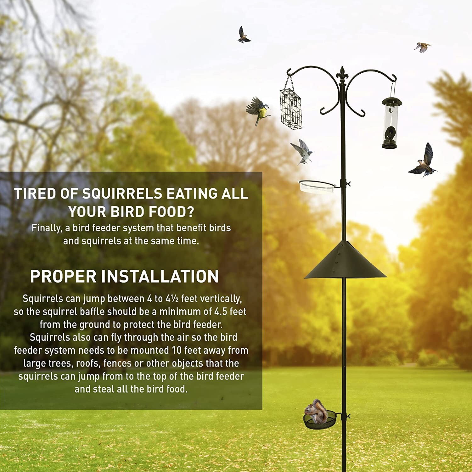 Squirrel Proof Bird Feeder - 2 Bird Feeders – 1 Squirrel Peanut Feeder ...