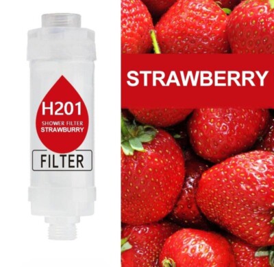 H201 Shower Filter. | eBay