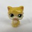 RARE Lot 2 LPS Littlest Pet Shop 1st Gen edition Cats SHC moving tongue ...