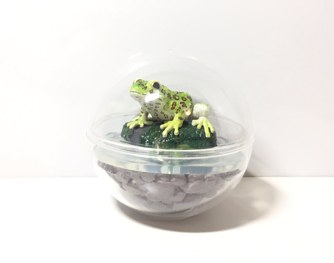 Japan Exclusive Qualia Caprium Collection Ishikawa's Frog Animal Figure ...