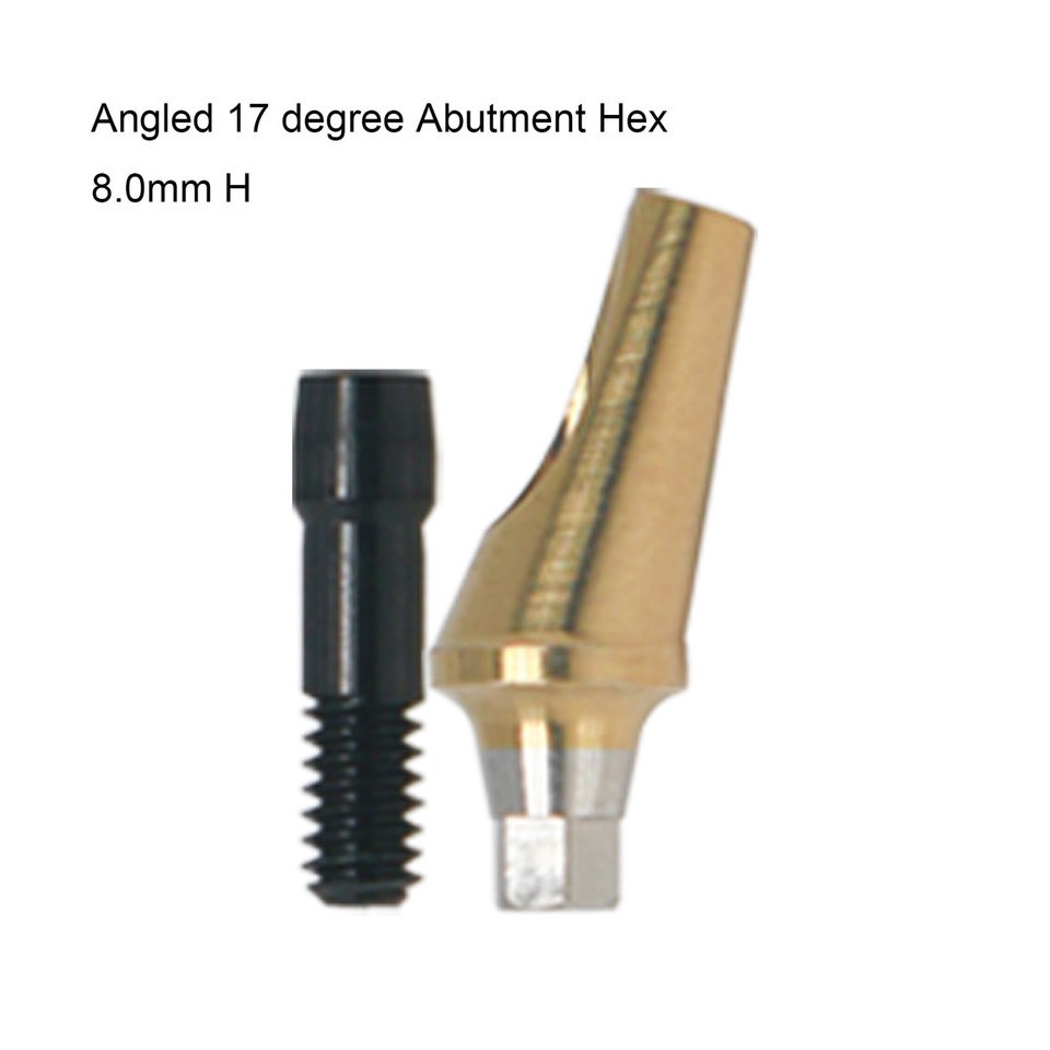 US Regular Mini 17° Angled Anatomic Cemented Abutment Fit Oss Hiossen ...