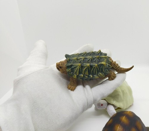 Bandai Gashapon Turtle Tortoise Figure Realistic 3 to 4 inch Direct ...