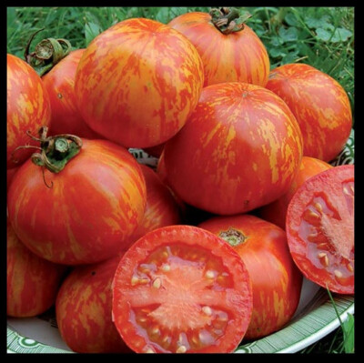Red Zebra Tomato 10 - 100 Seeds Rare Colorful Heirloom Very productive ...