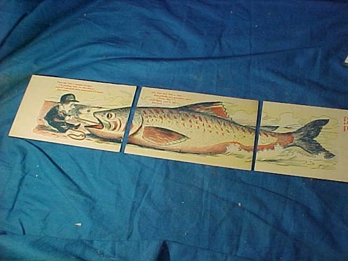 3-Early20thc THE FISH STORY Illustrated SERIES POSTCARDS | eBay