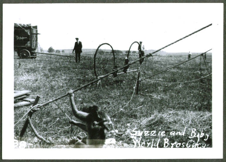 Monkeys Suzzie & Baby World Bros Circus backlot 1923 | eBay