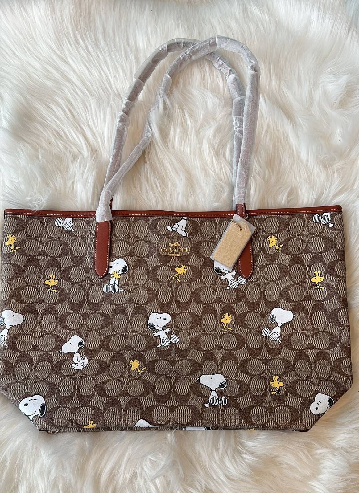 COACH x Peanuts Collaboration Tote bag CF-166 Khaki Redwood Multi ...