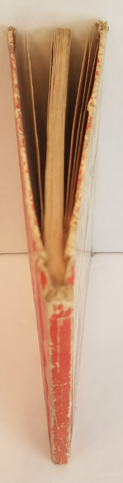 1923 Book Adventures of Ray Coon by Nancy Byrd Turner w/ color ...