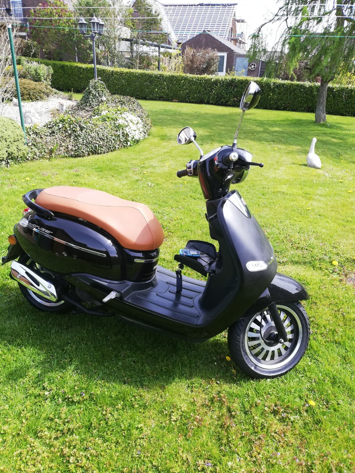 Roller 50ccm gebraucht | eBay.de