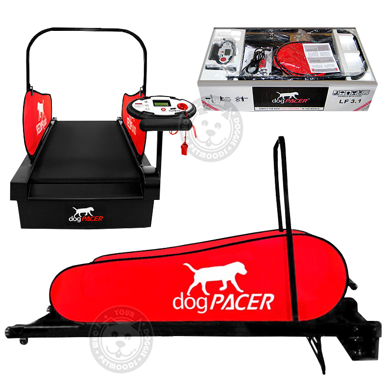 dogPACER Dog Treadmill Folds Portable Small Med Large Dogs 1-179 lbs ...