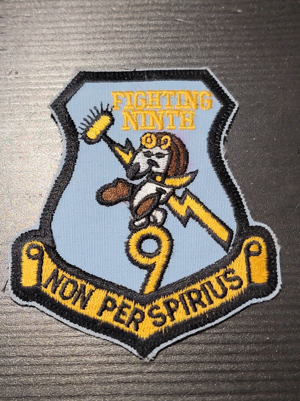 US Air Force Fighting 9th Squadron Patch Fighting Ninth Non Per Spirius ...