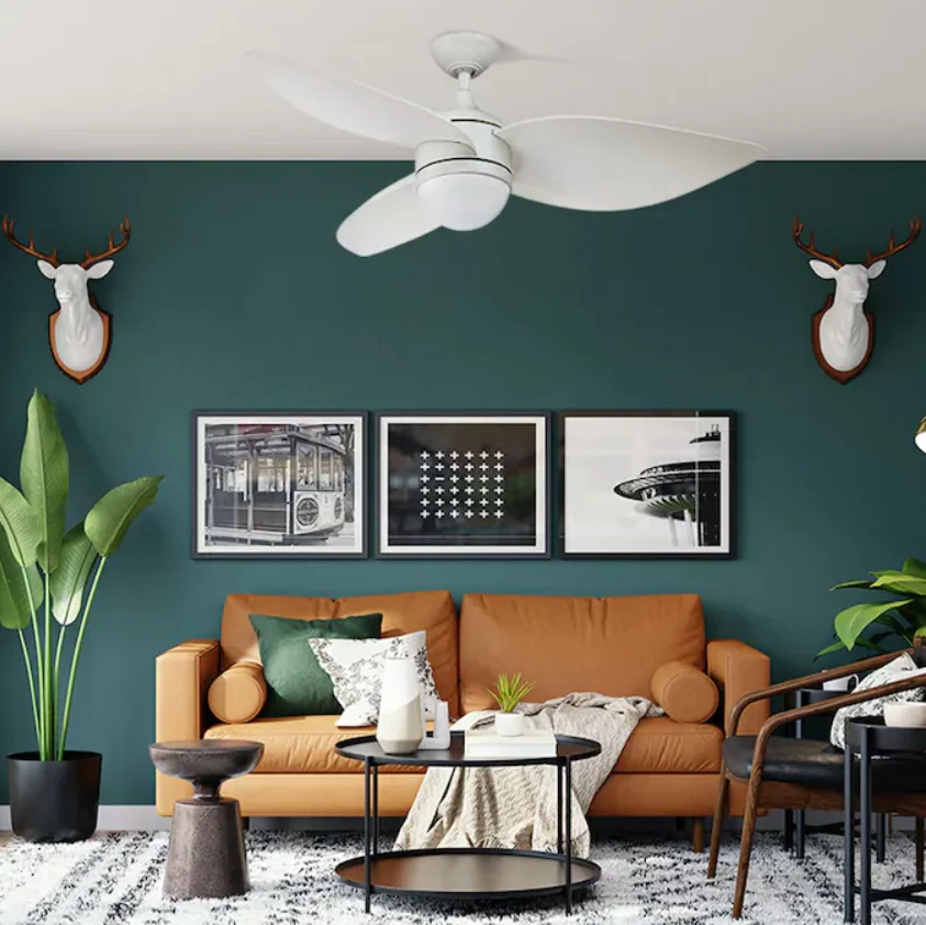 Airplane Ceiling Fan