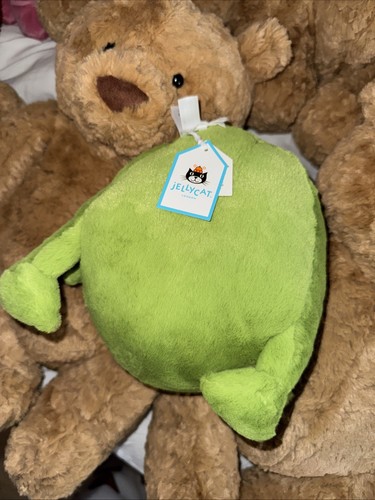 🐸 Jellycat Ricky Rain Frog Soft Plush Green Grumpy Ribbit Spring Easter ...