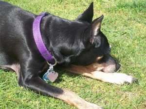 Beadlebug-Ventures | eBay Stores