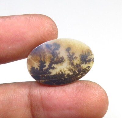 Shazar Dendrite Scenic Oval Gems 26x15m Natural shazar dendrite Agate ...