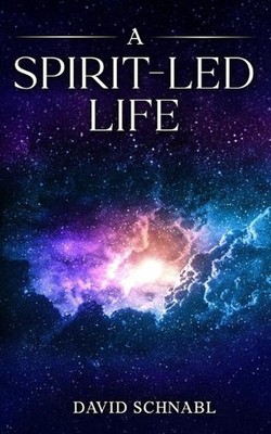 A Spirit-Led Life by David Schnabl Paperback Book | eBay
