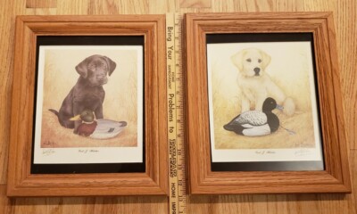 Labrador Retriever Puppies with Decoys Framed Signed Prints by Carl ...