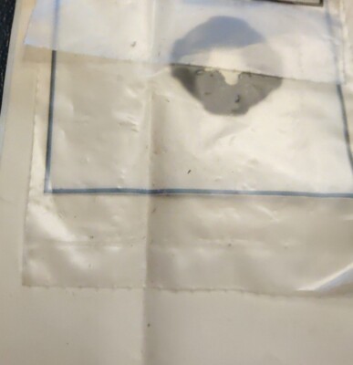 Toro Lawn Boy OEM NOS 605339 Blade Lock Washer | eBay