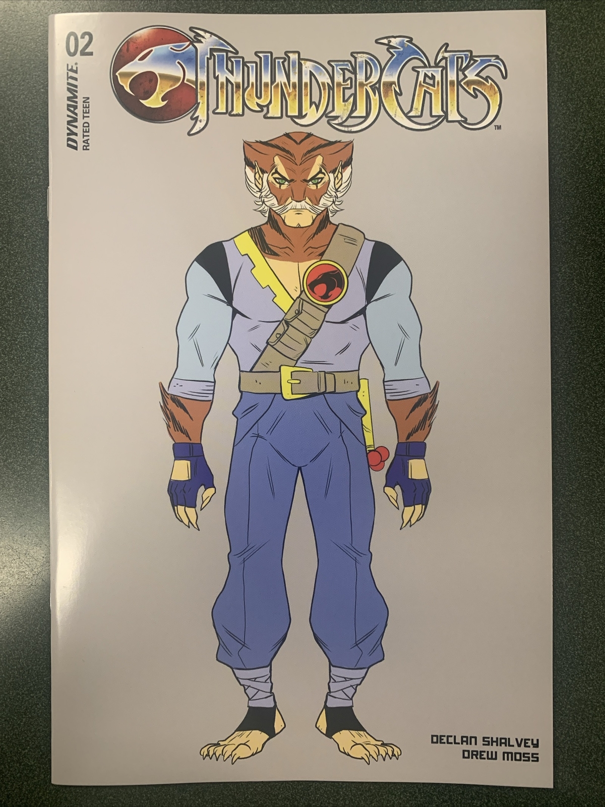 ThunderCats #2 (Dynamite, 2024) Cvr K 1:10 Incentive 1st Calica Moss NM+ | eBay