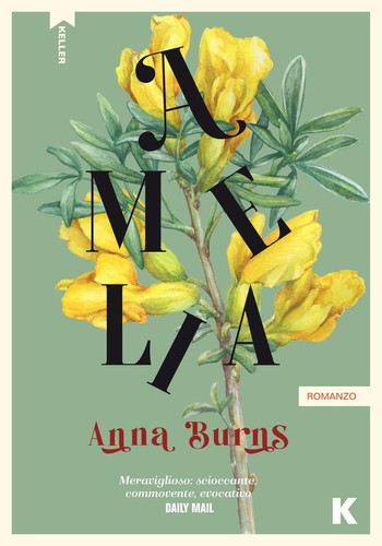Anna Burns - Amelia (UK IMPORT) Book NEW 9791259521309| eBay