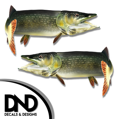 Pike - Fish Decal Fishing Hunting Tackle Box Bumper Sticker "5in SET" F ...