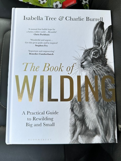 The Book of Wilding A Practical Guide to Rewilding Big and Small by ...