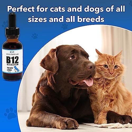 Liquid Vitamin B-12 for Dogs and Cats - Vet Formulated Methyl B12 Made ...